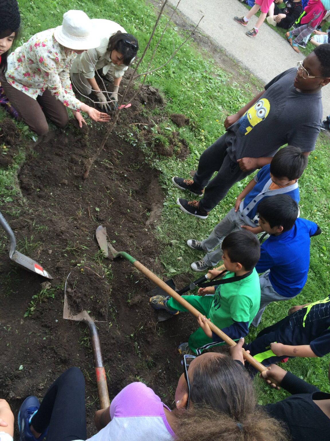 Sandburg Elementary - Madison Public Schools Foundation